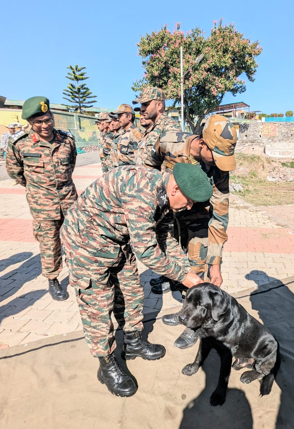 Northern Army Commander Lt General Upendra Dwivedi visited Kalakote ...