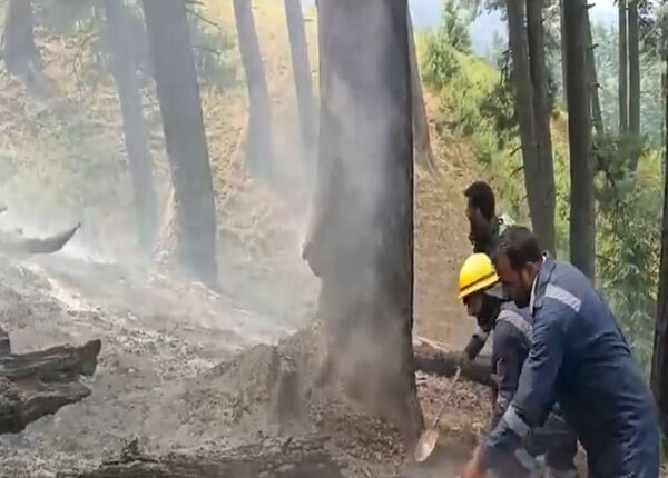 Forest fire in Kupwara contained after 5 days continuous fire-fighting ...